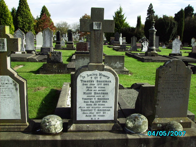 Cemetery Search - Timaru District Council